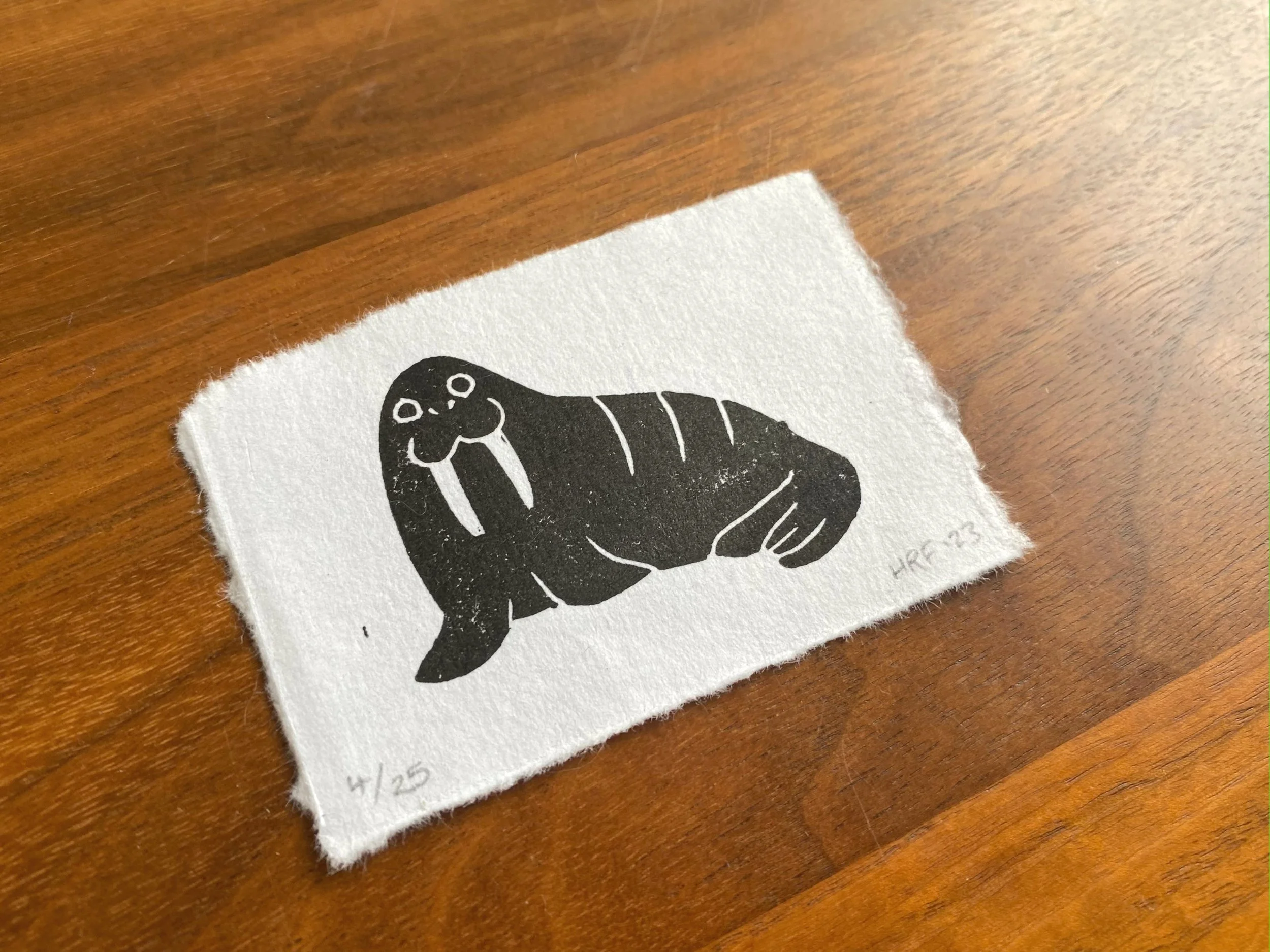 White Rabbit Black Cat co