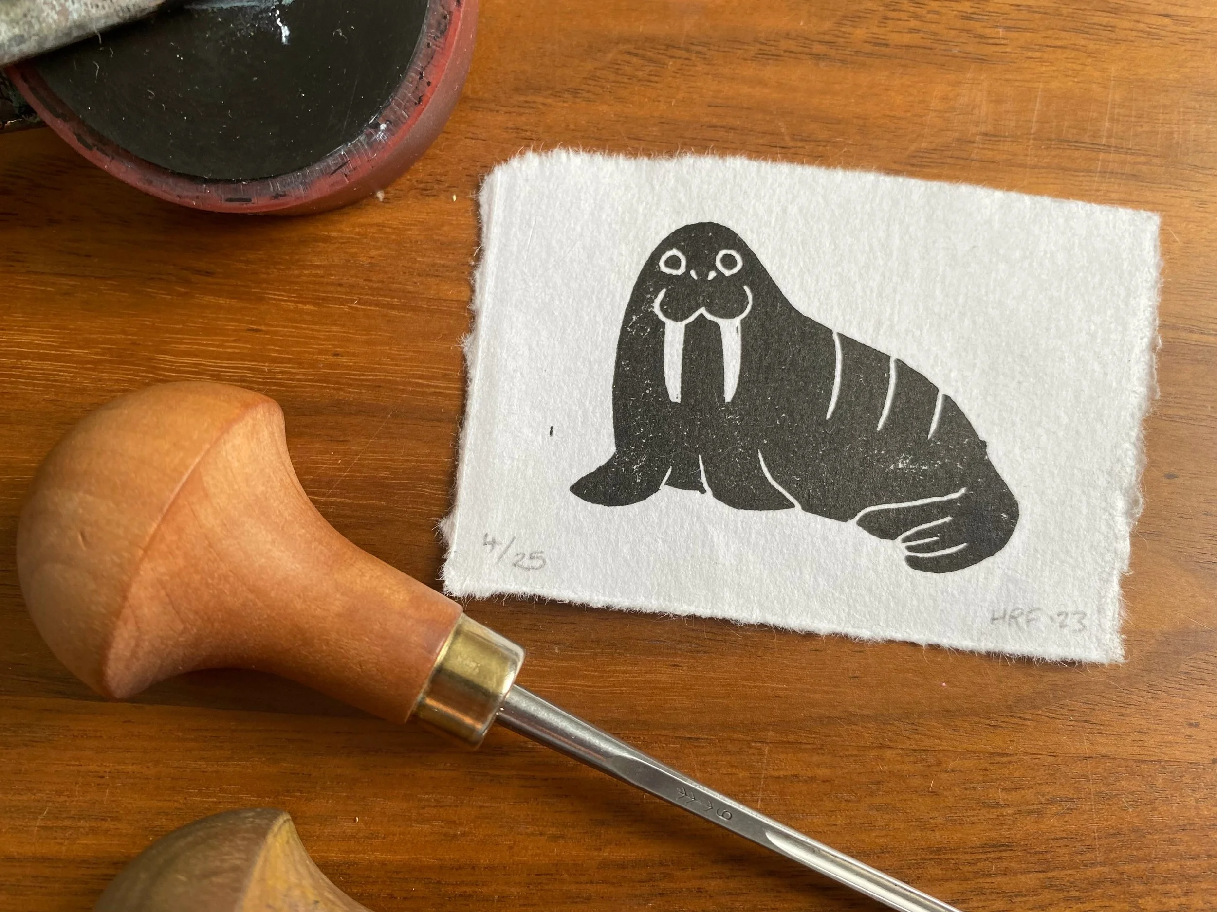 White Rabbit Black Cat co