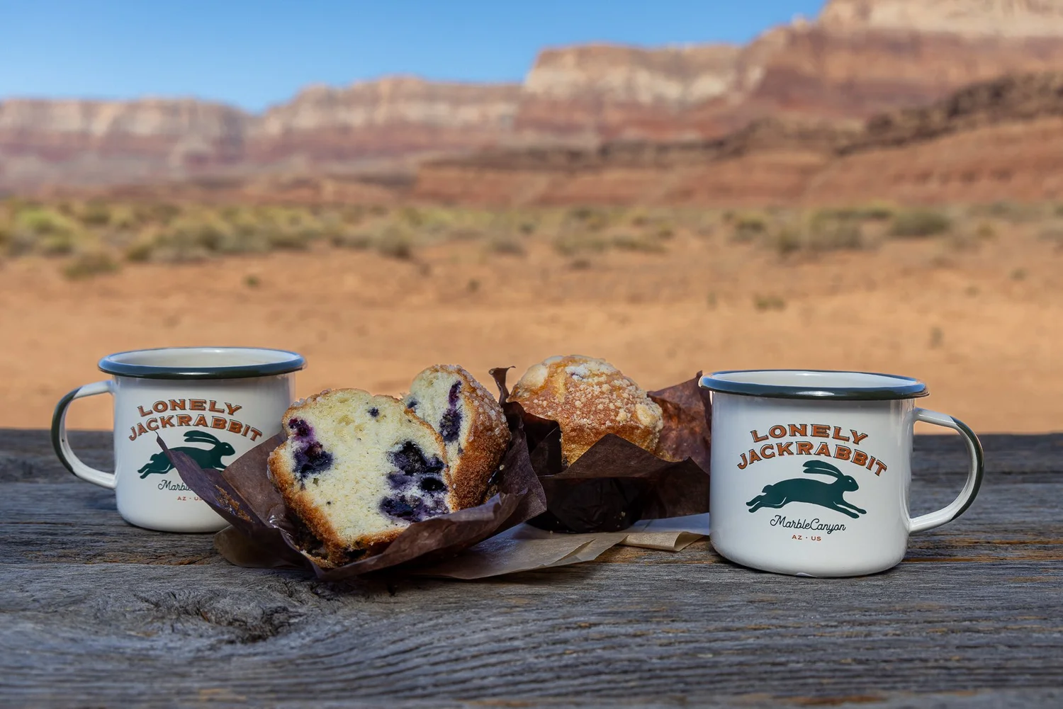 Coffee Bar — Lonley JackRabbit