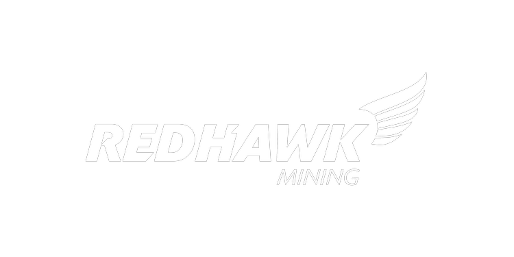 Dynamic simulation — Hypercube Scientific