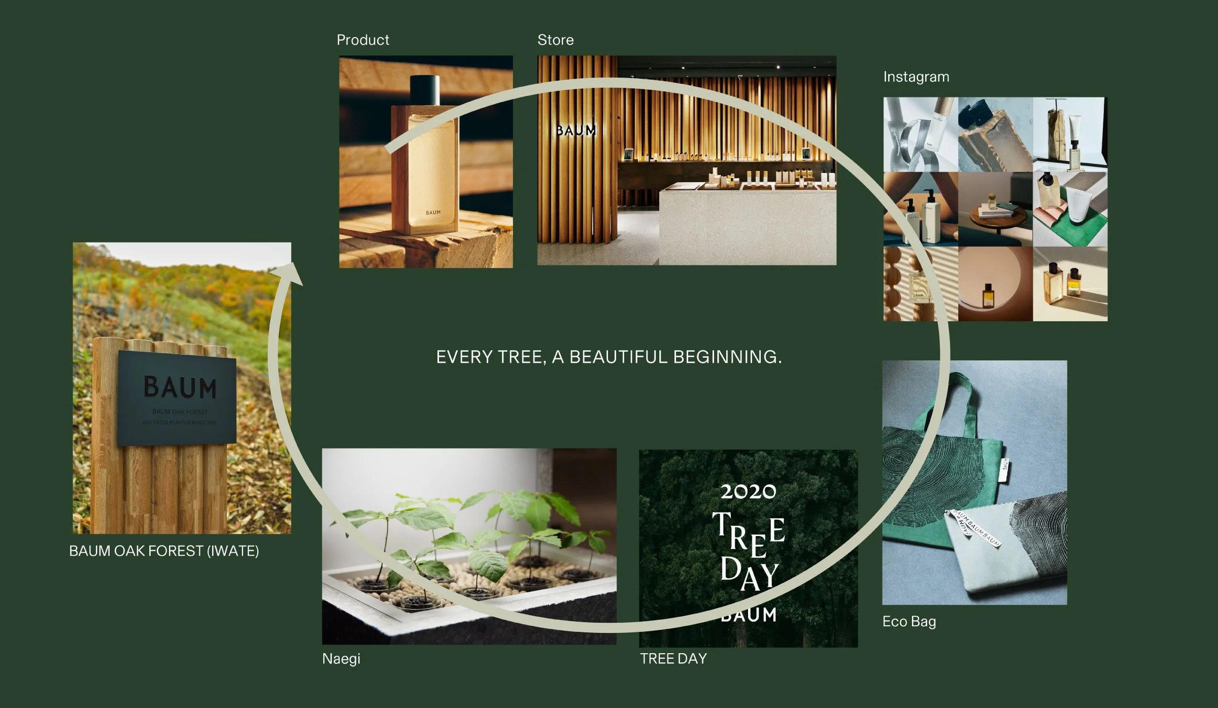 BAUM BRAND DESIGN — SHISEIDO CREATIVE