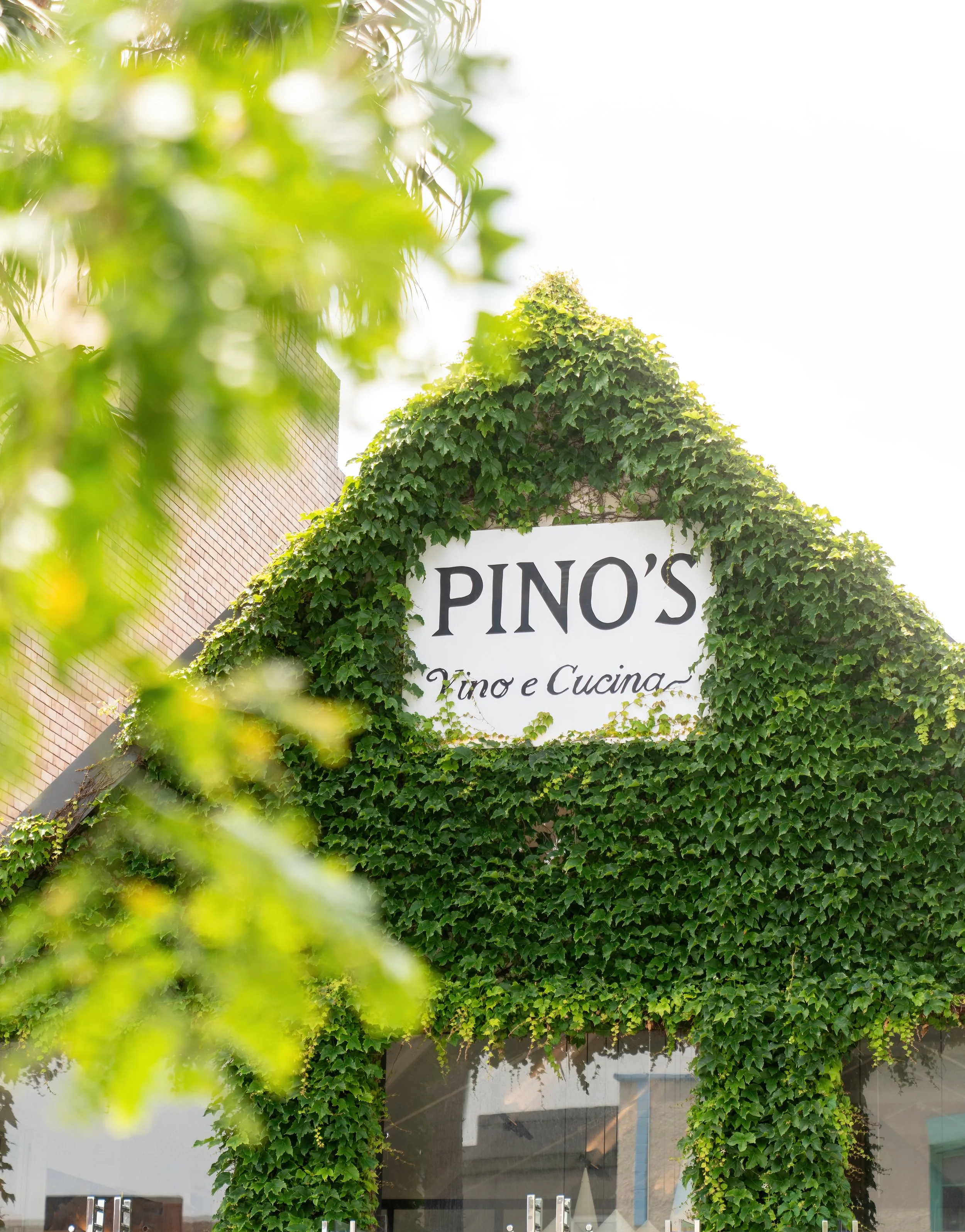 The Original Pino’s Vino e Cucina | Italian Restaurant Cronulla