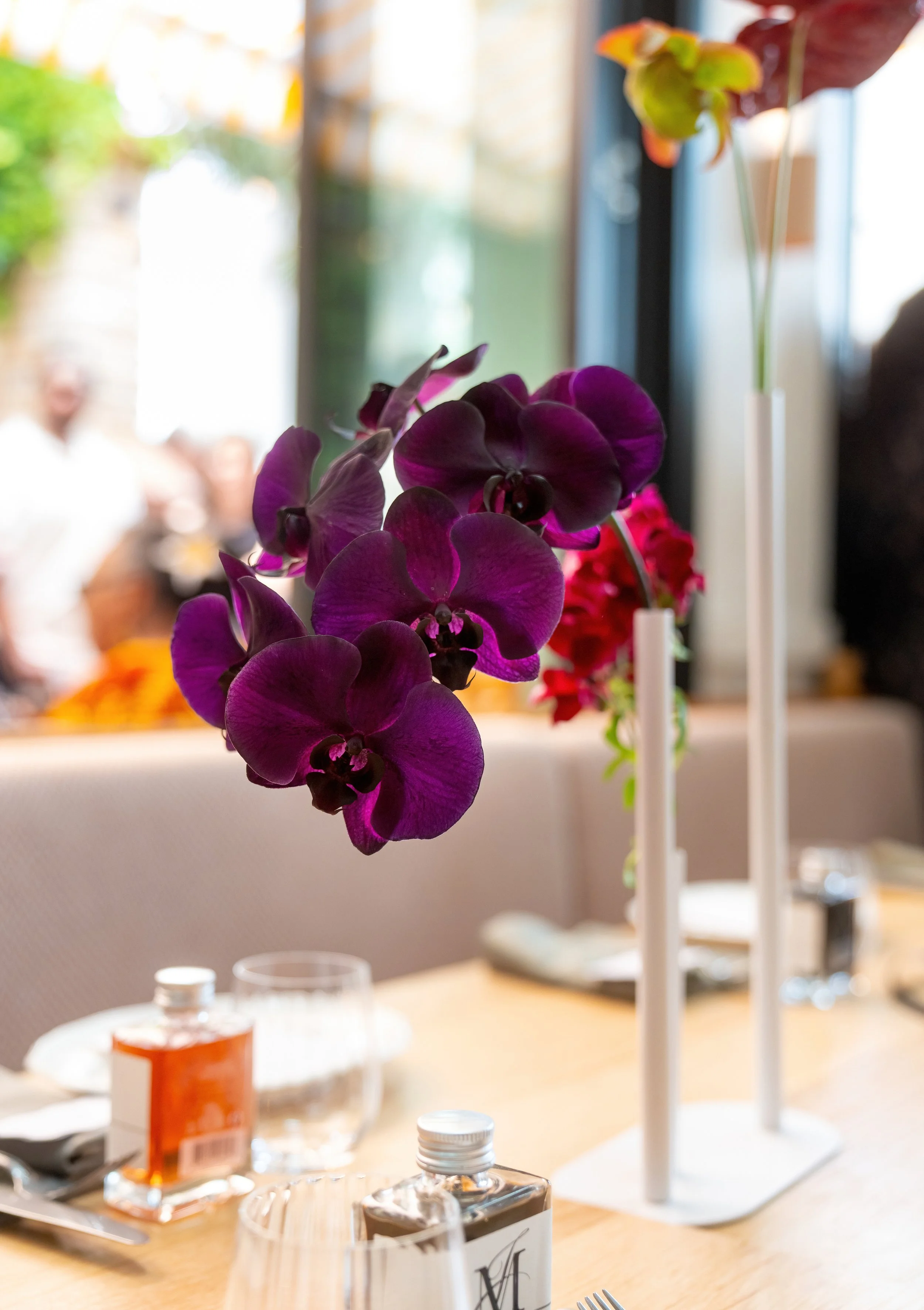 The Original Pino’s Vino e Cucina | Italian Restaurant Cronulla