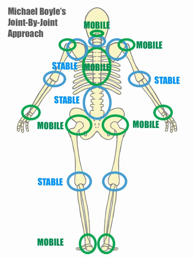 Why Is Biomechanics Important? — CONNECT Osteopathy and Performance