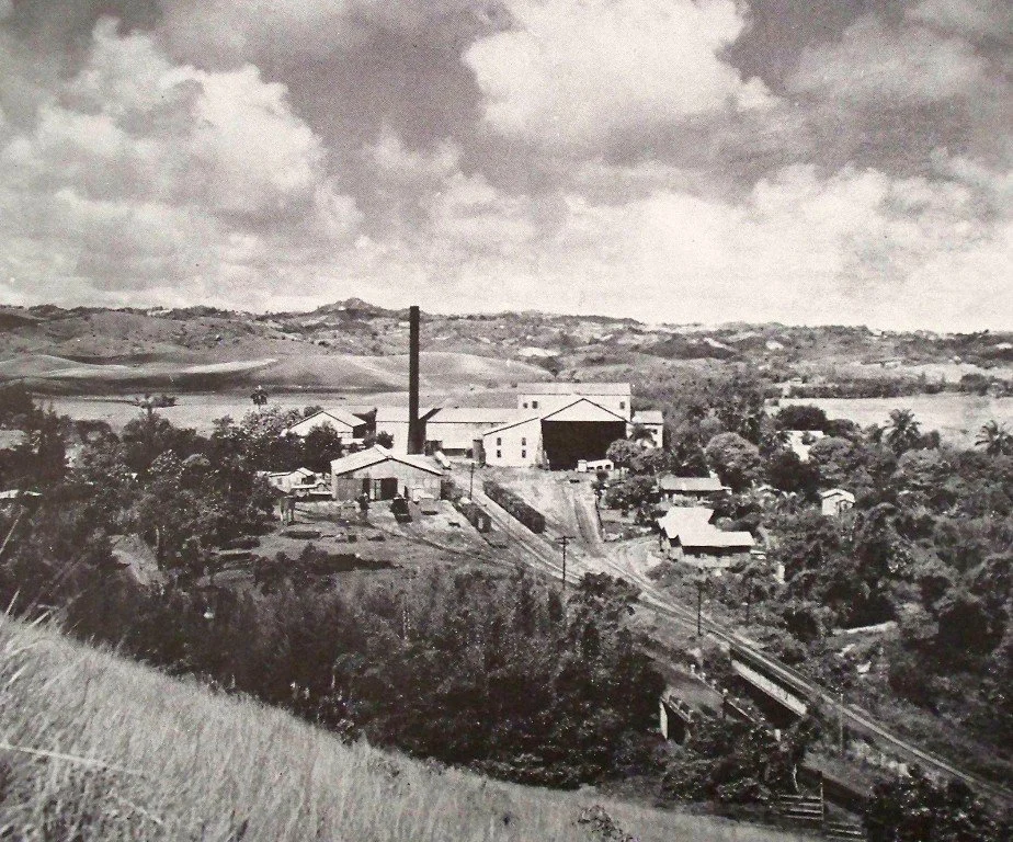Puerto Rico Sugar — jaimemontilla.com