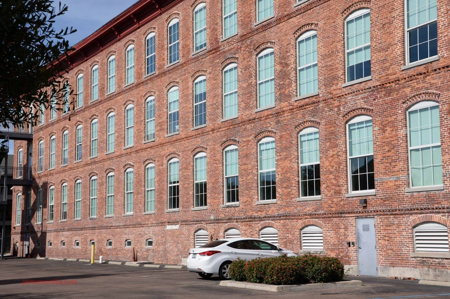 Seidenberg & Co. — jaimemontilla.com