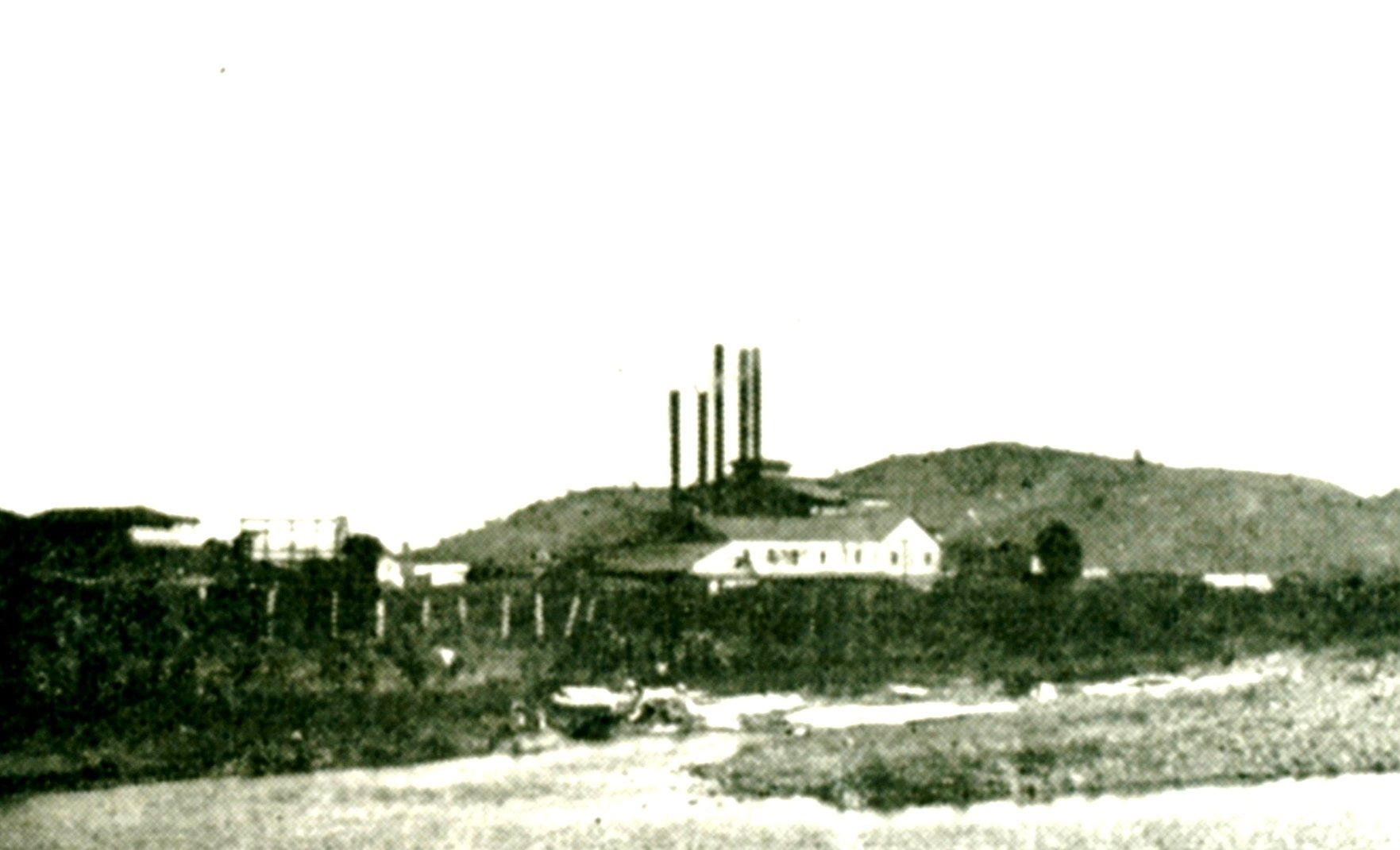 Puerto Rico Sugar — jaimemontilla.com