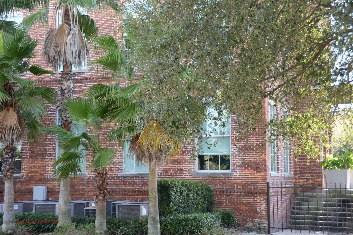 Seidenberg & Co. — jaimemontilla.com