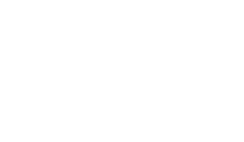 Our Vision — Saltchuk Marine