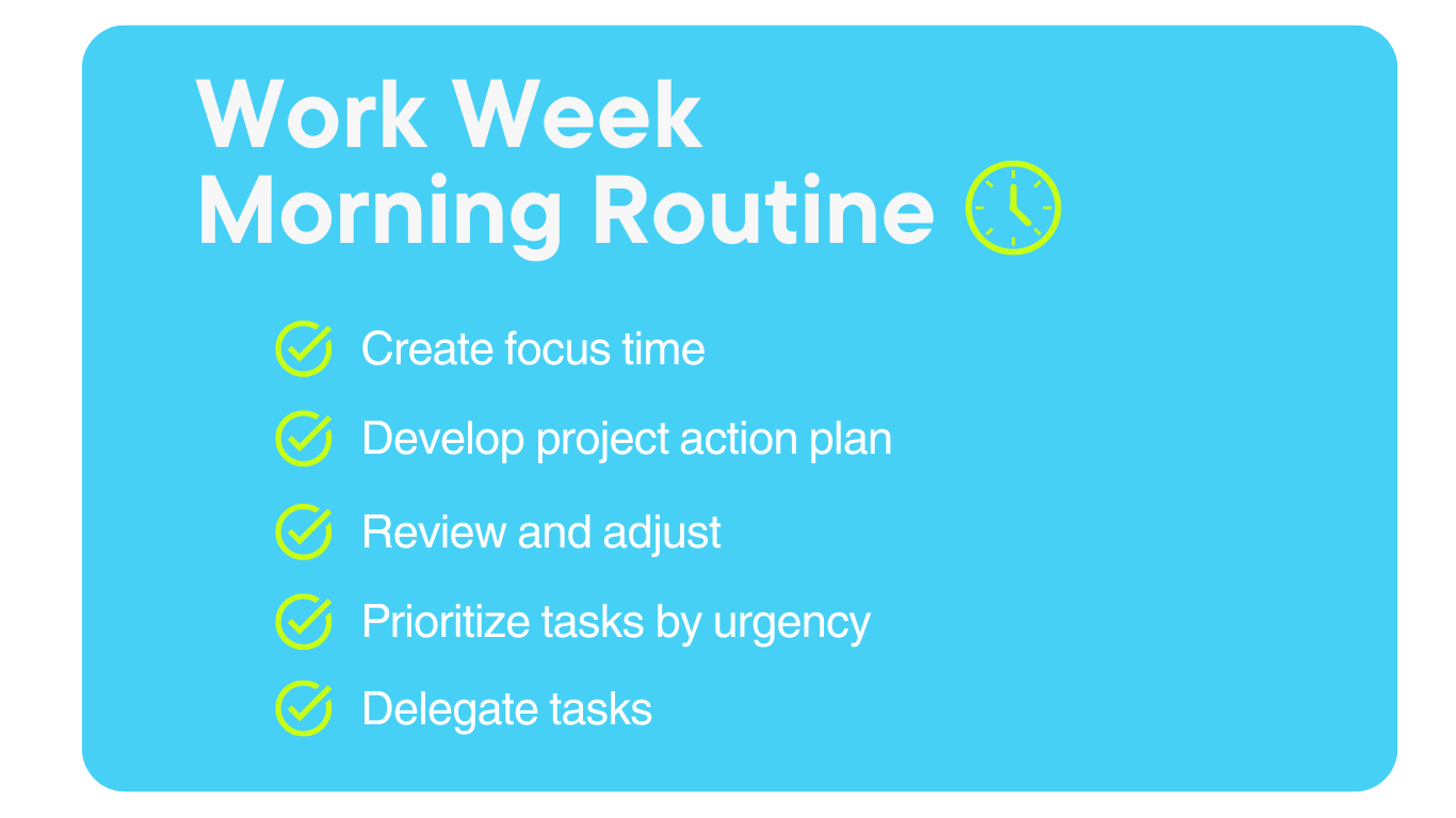 Transform The Hustle - TTH Content Hub