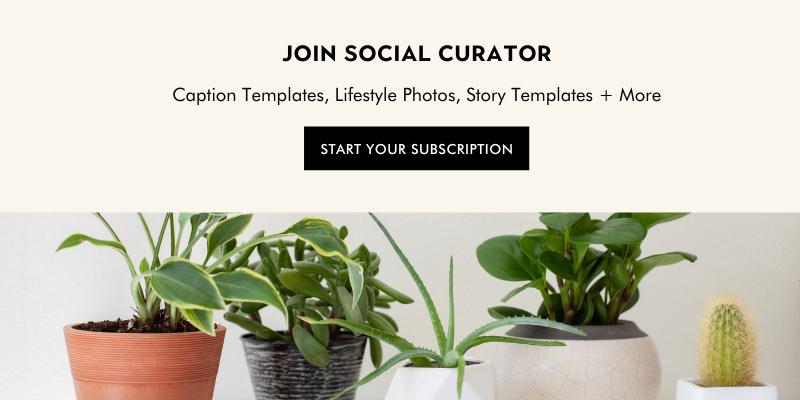 What is Social Curator? — Social Curator