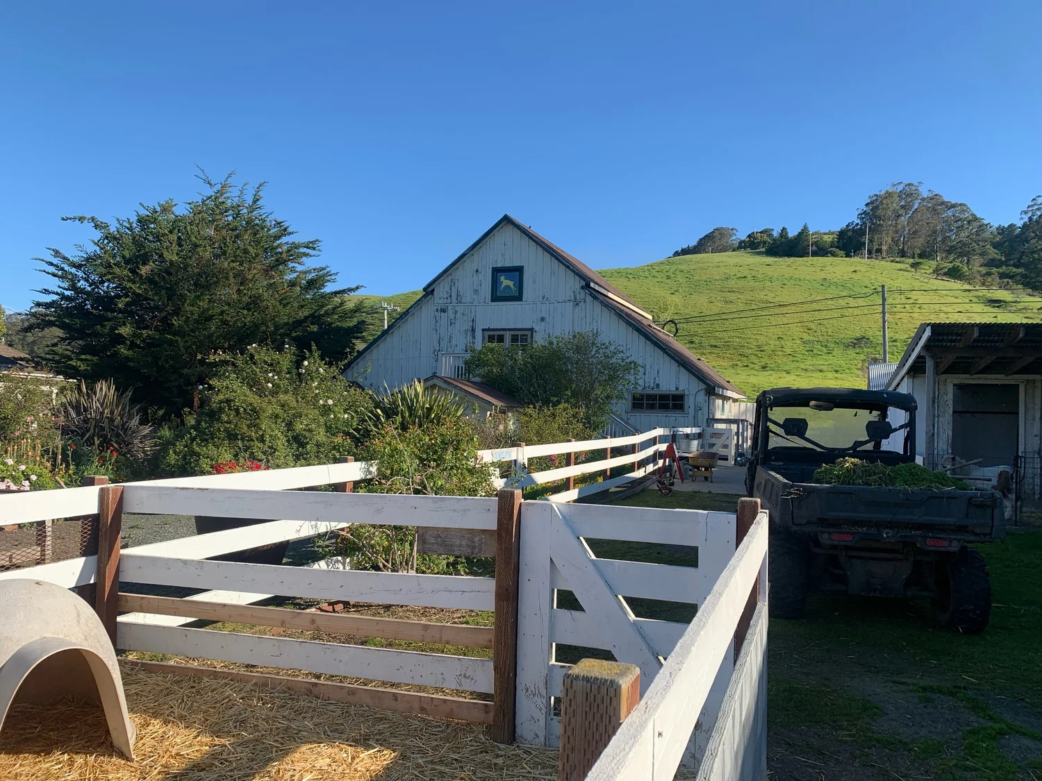 About — Harley Farms