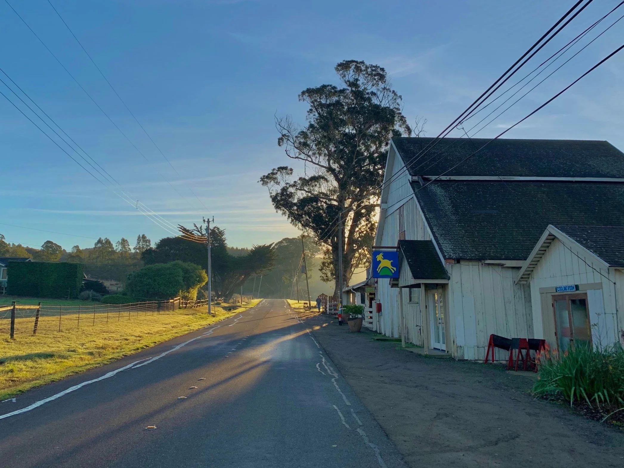 Harley Farms