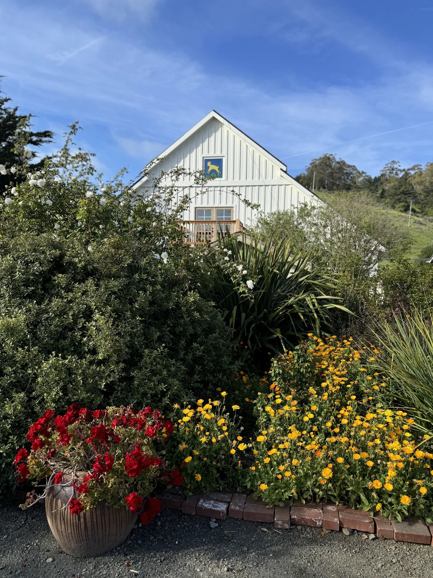 Harley Farms