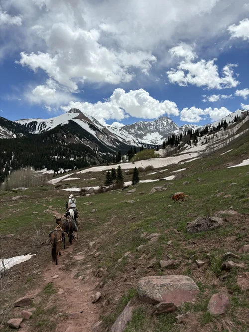 Scenic Horseback Rides in Aspen and Snowmass — Capitol Peak Outfitters
