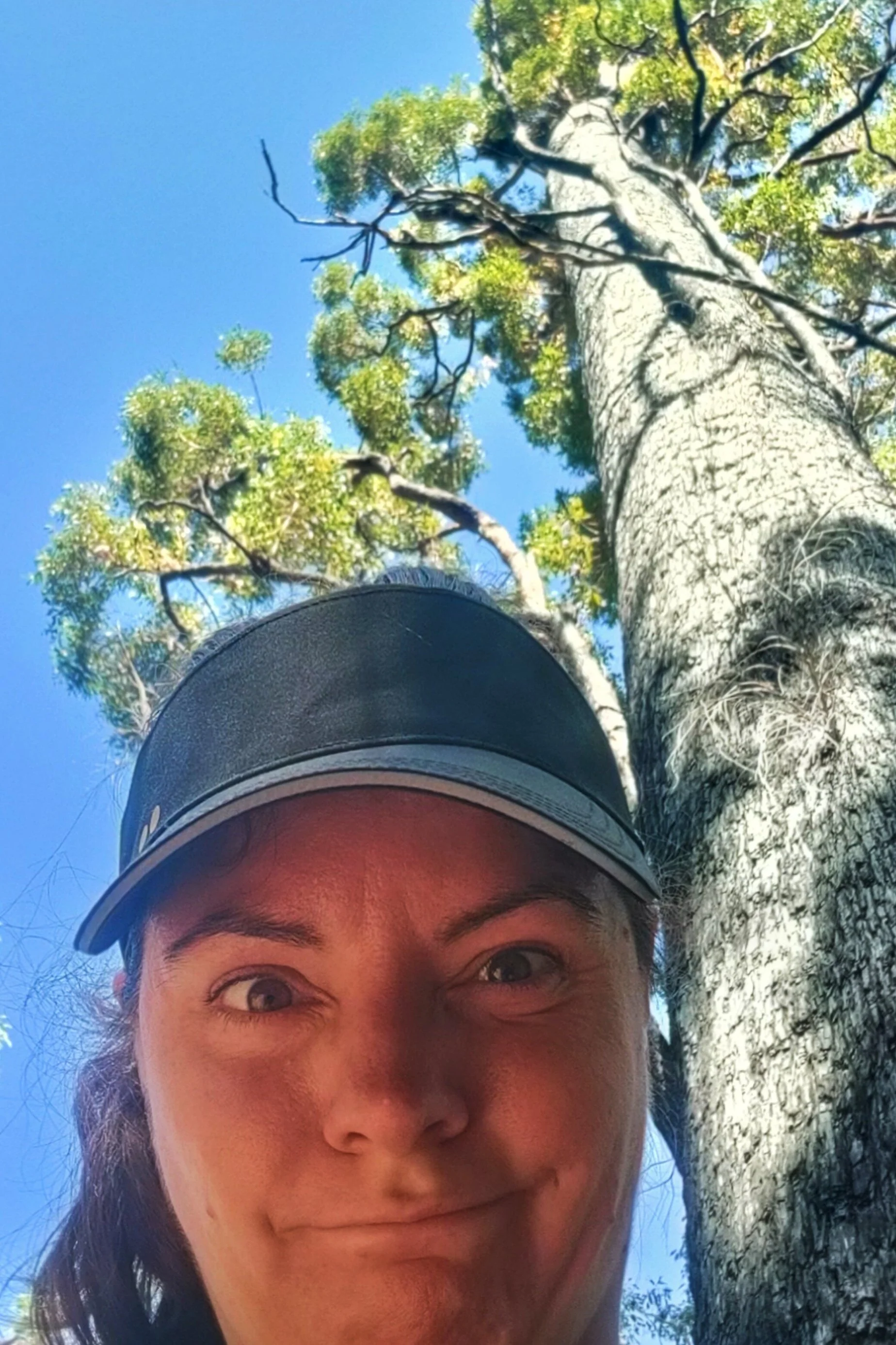 King Jarrah Trail Adventure: A Scenic Solo Hike in Dwellingup