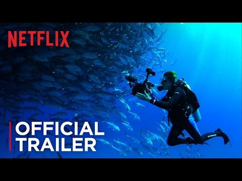 22 Best Sustainable Documentaries on Netflix — EARTH PUZZLE