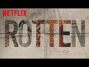22 Best Sustainable Documentaries on Netflix — EARTH PUZZLE