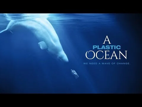 22 Best Sustainable Documentaries on Netflix — EARTH PUZZLE