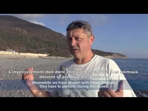 22 Best Sustainable Documentaries on Netflix — EARTH PUZZLE
