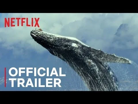 22 Best Sustainable Documentaries on Netflix — EARTH PUZZLE