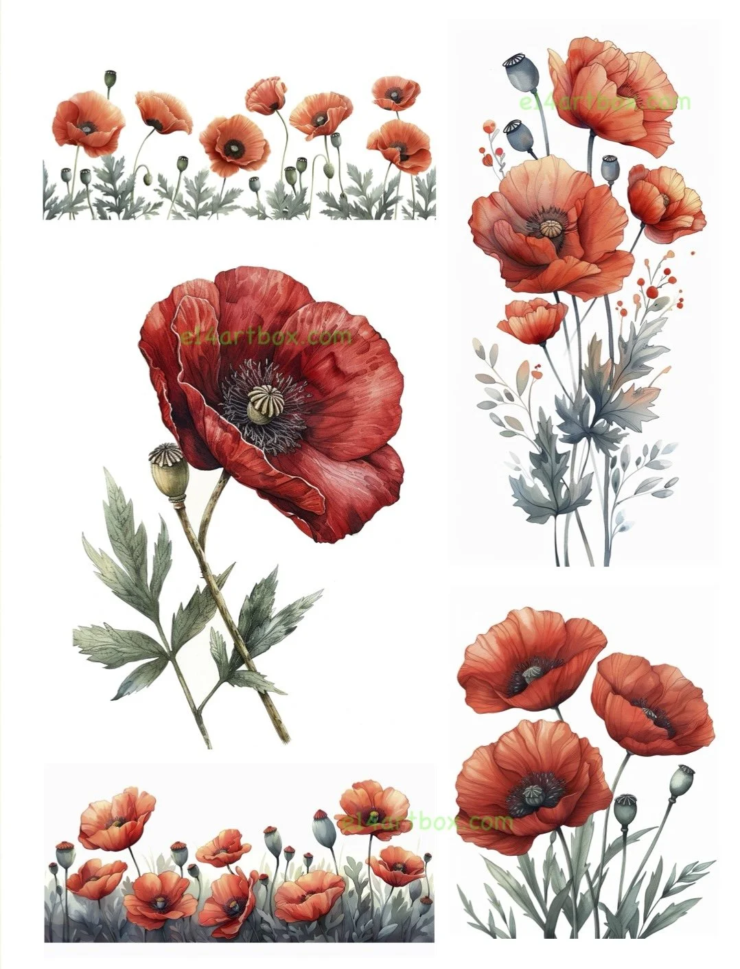 Poppies: Scrapbook Paper & Clipart | Decorative Pages, Patterns ...