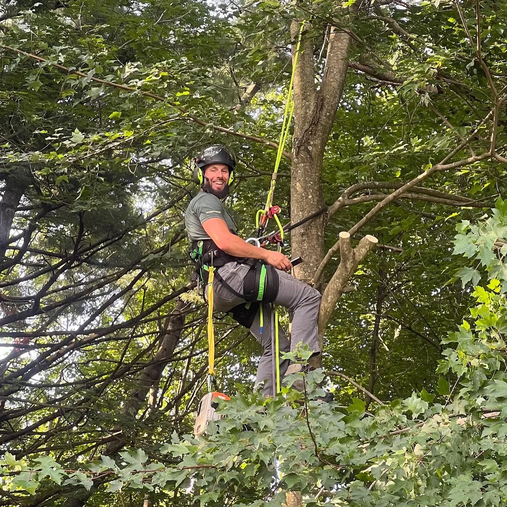 Services — Ascending Tree Care LLC