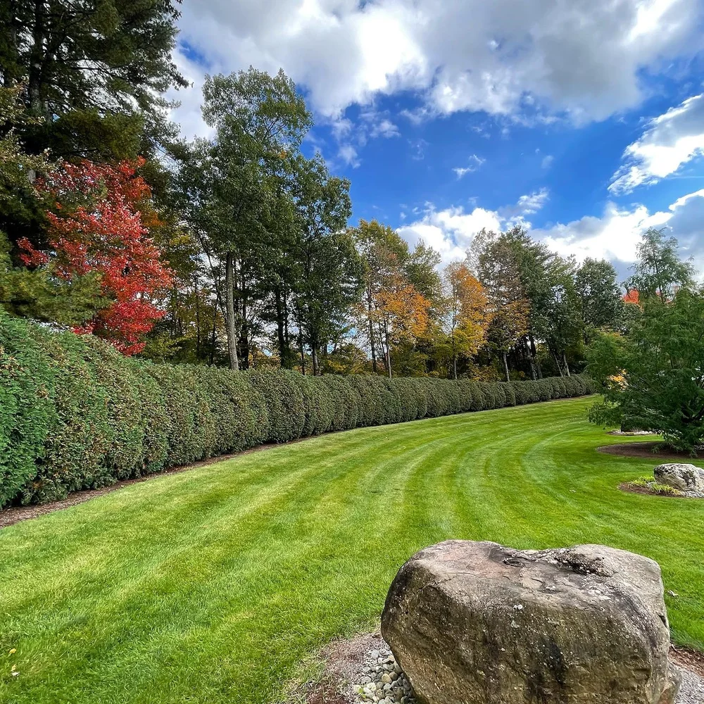 Ascending Tree Care LLC