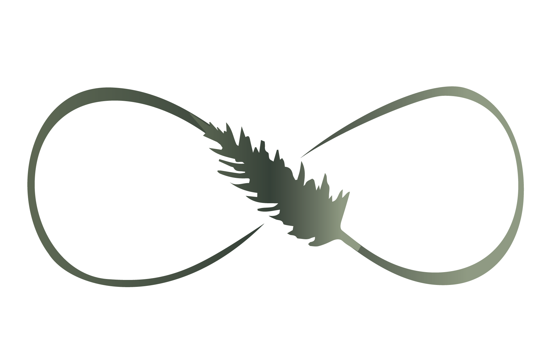 Our Programs — Infinity Academy