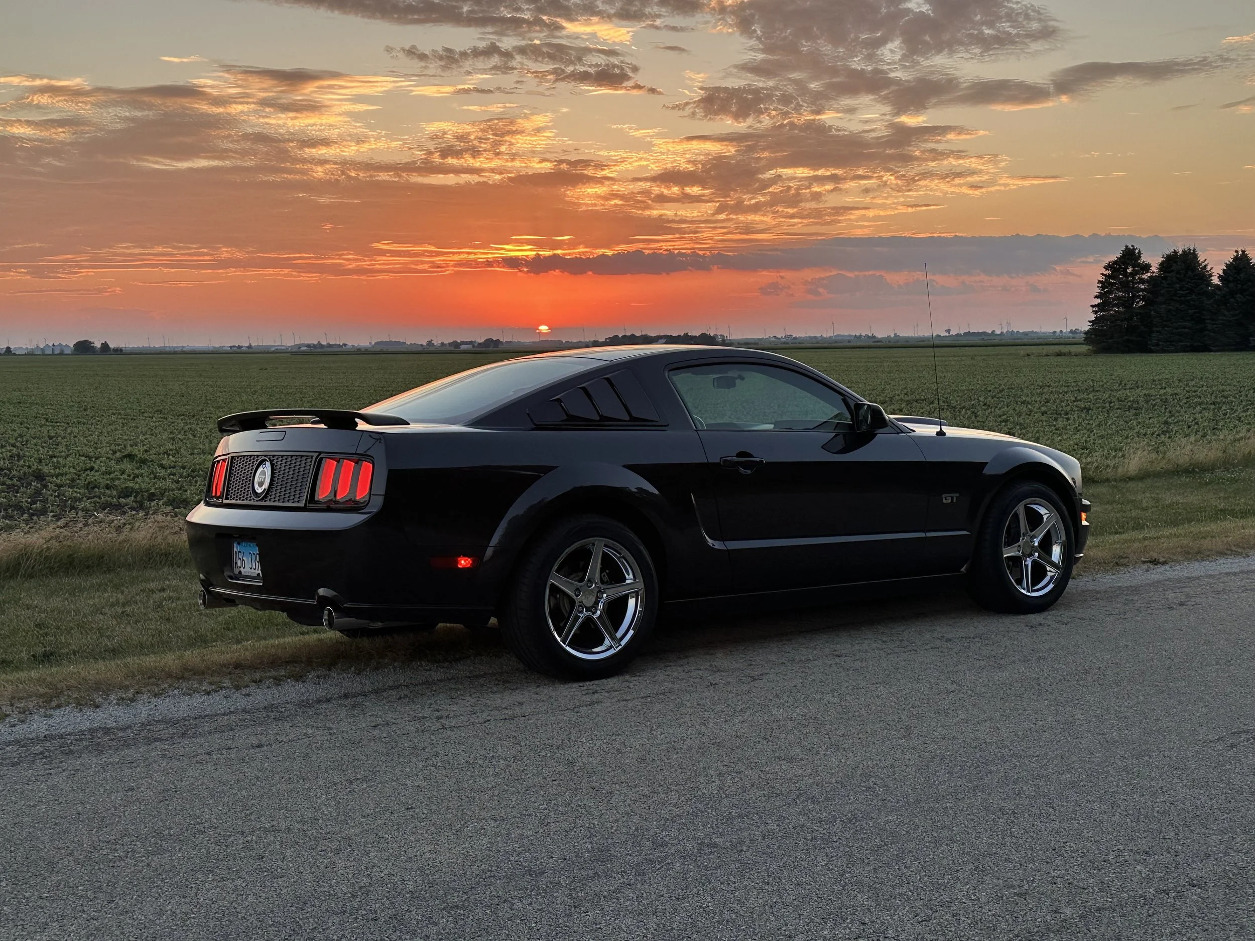 Northern Mustang Corral