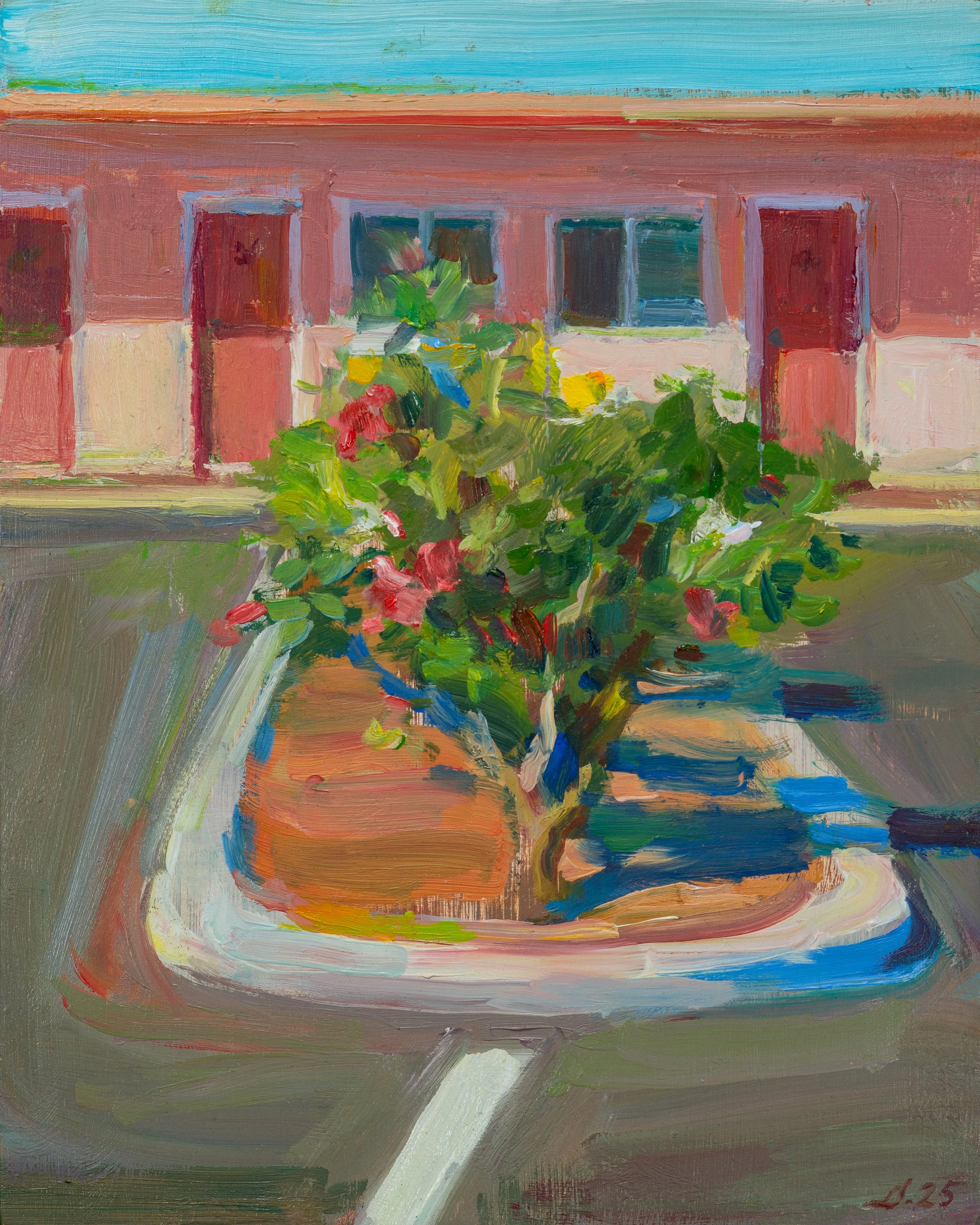Boyd Gavin — John Natsoulas Gallery