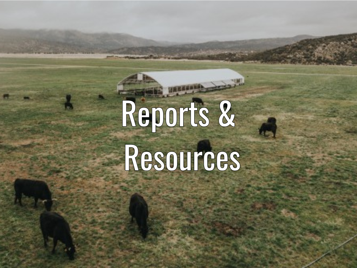 Small Scale Meat Producers