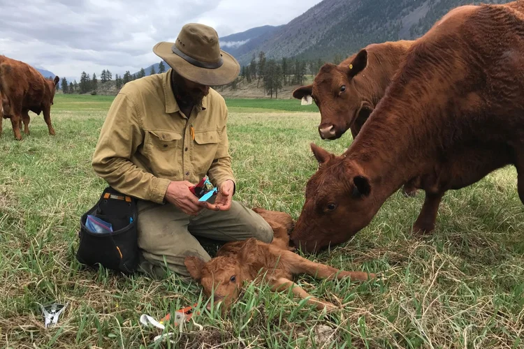 Small Scale Meat Producers
