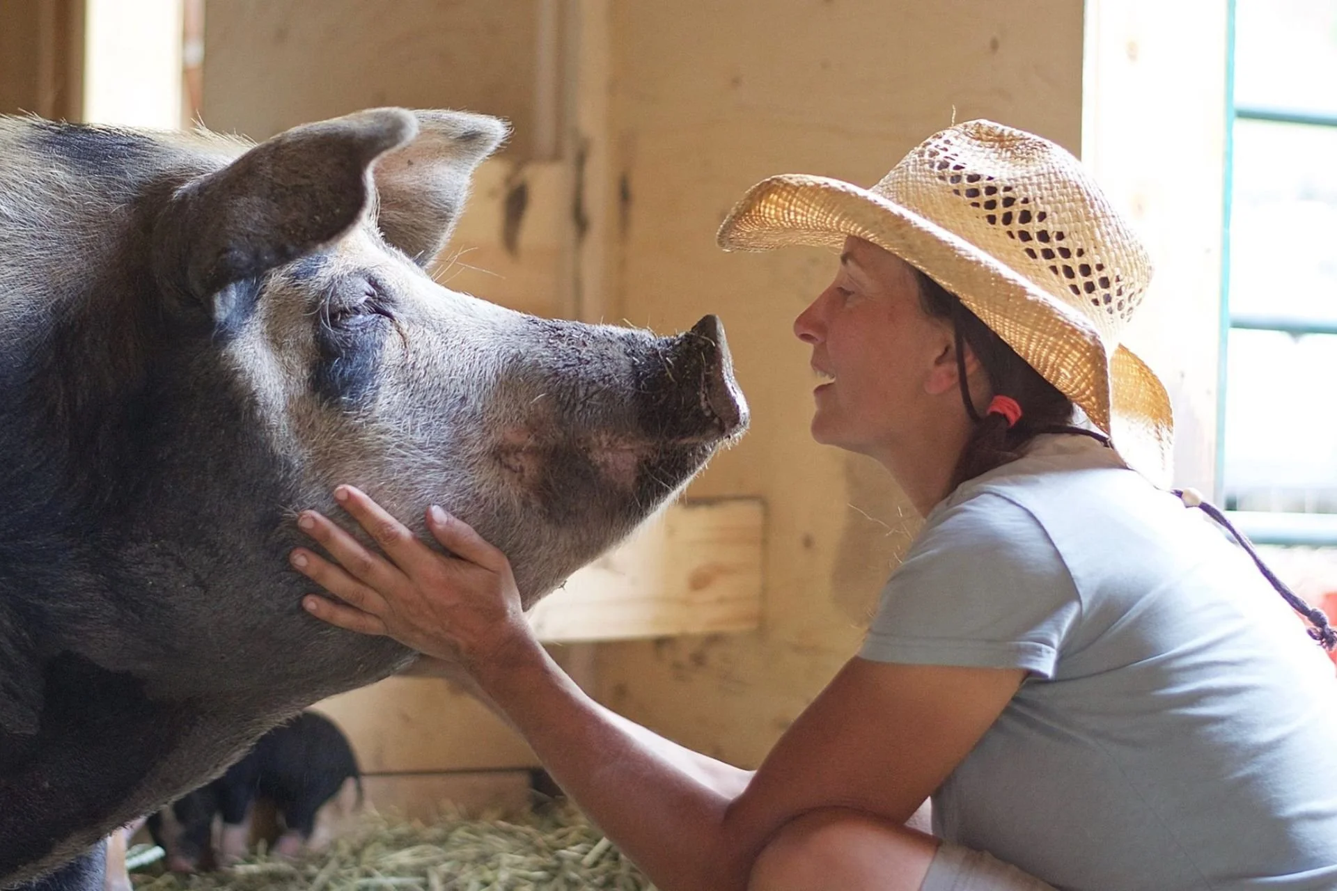 Small Scale Meat Producers