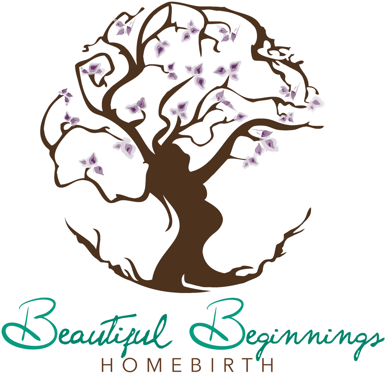 Beautiful Beginnings Homebirth