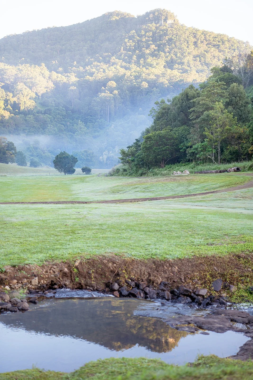 Tranquility in the heart of Northern New South Wales — Sēlah Valley Estate