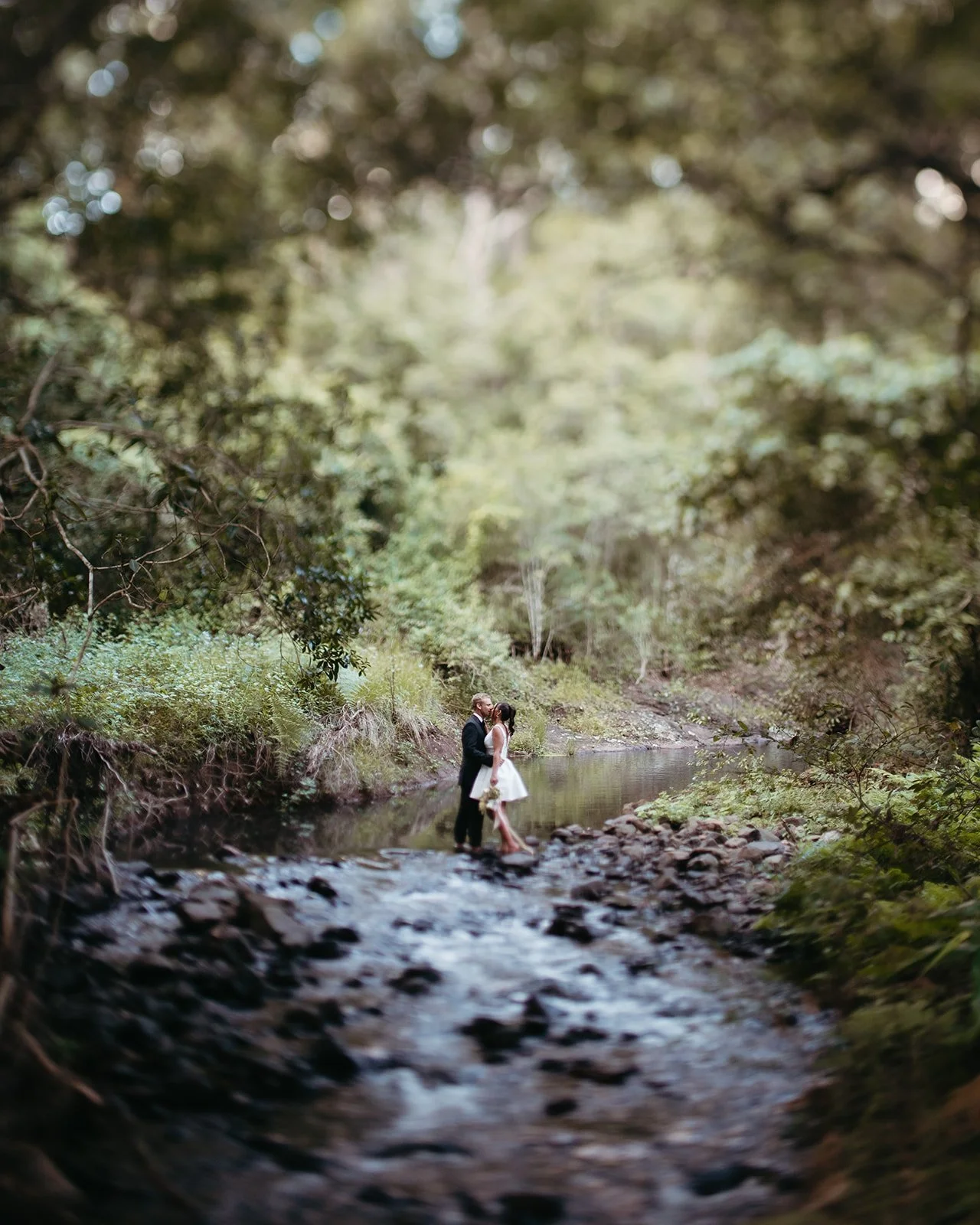 Wedding and elopement perfection in Tweed Valley — Sēlah Valley Estate