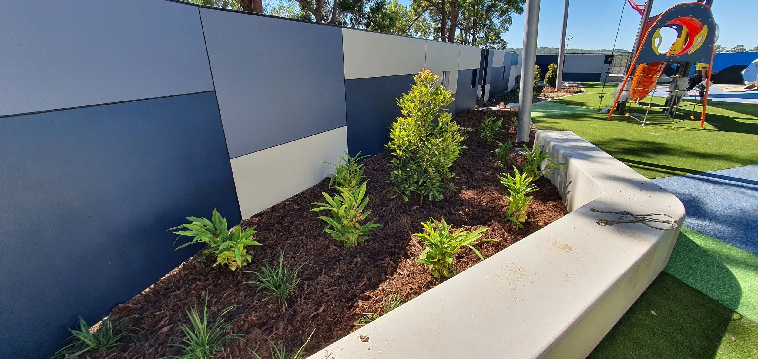 Cronulla Park PCYC — Dunn Moran Landscape Architects