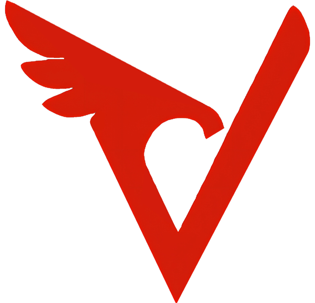 VALKO Jiu Jitsu Studio - Chicago