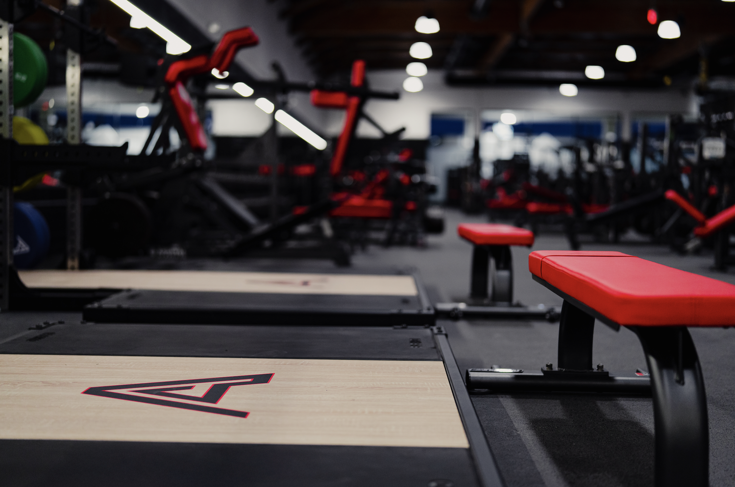 New Gym In Santa Cruz Is Now Open!