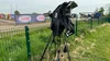 Dirtworld TV