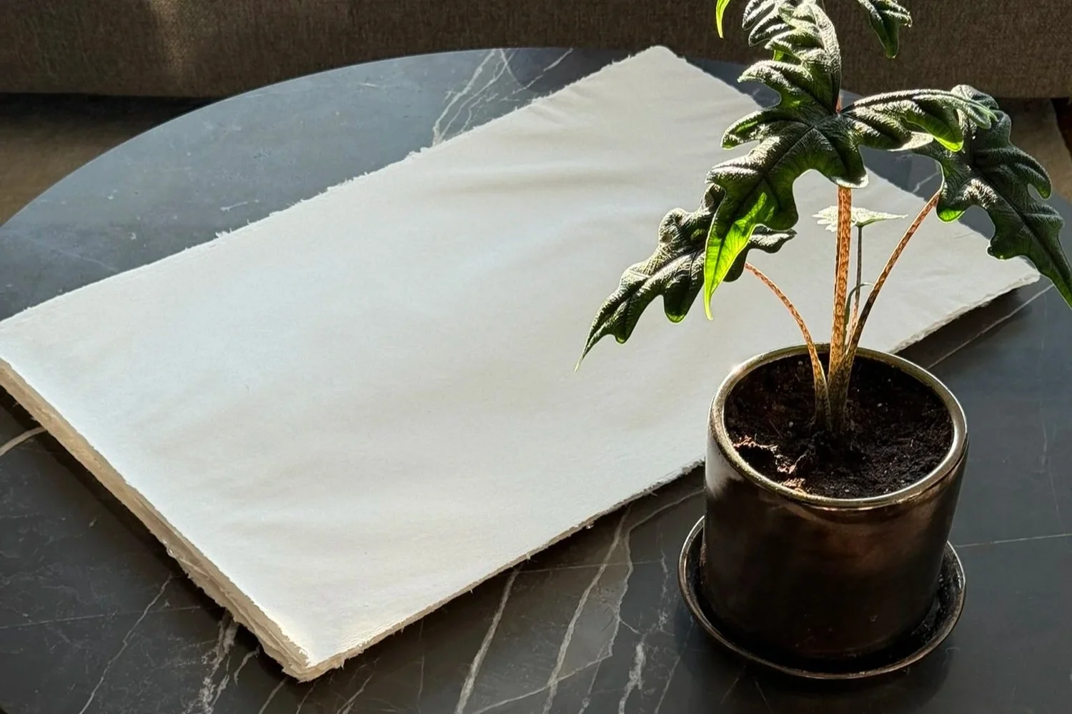 Seattle Papermaker | Discover Handmade Paper — Shop Now