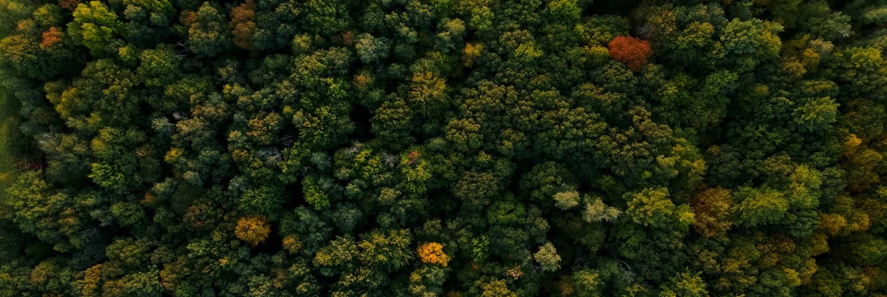 Hudson Rod, Gun & Archery Club