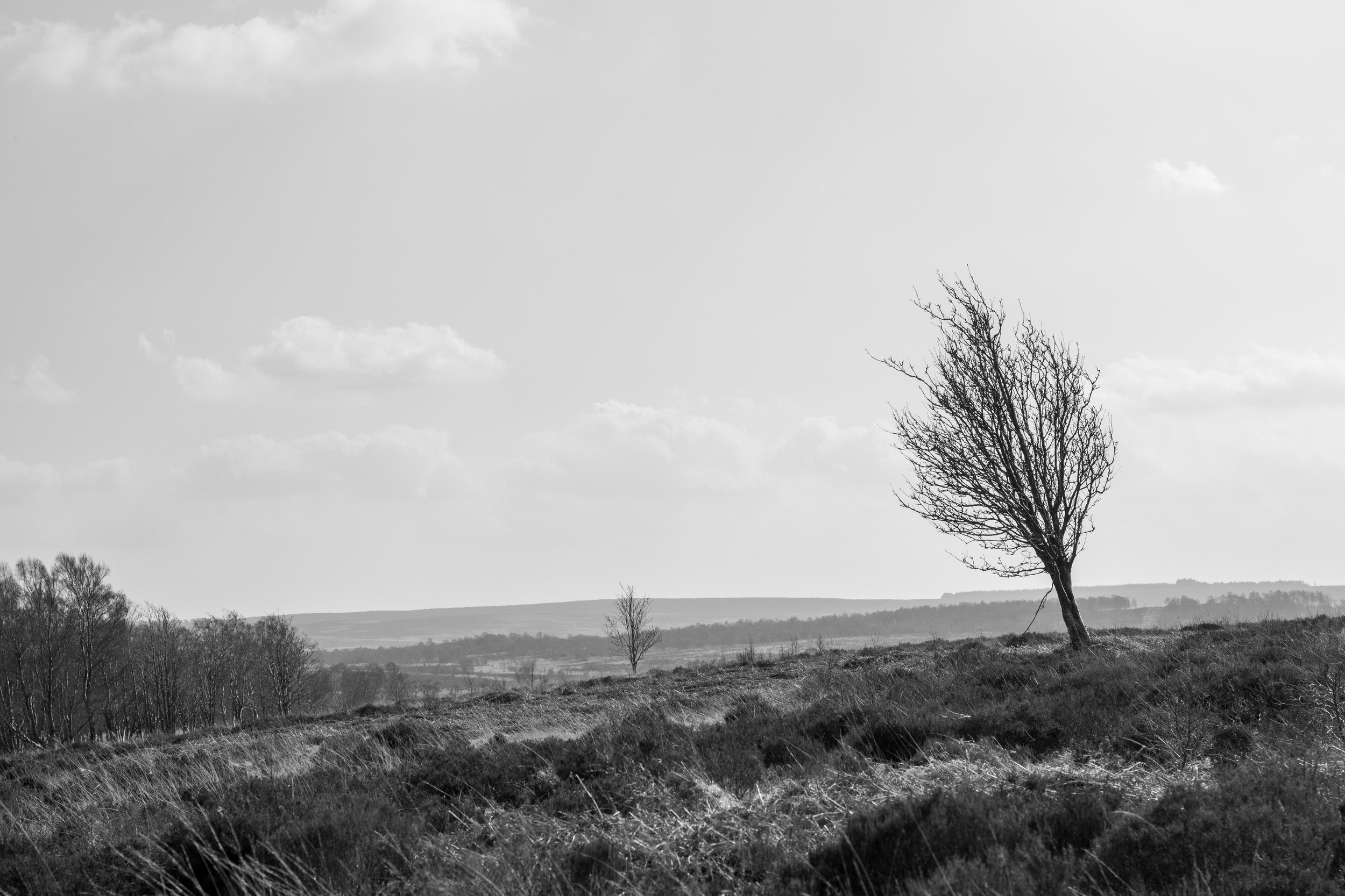 Adrian Todd Photography