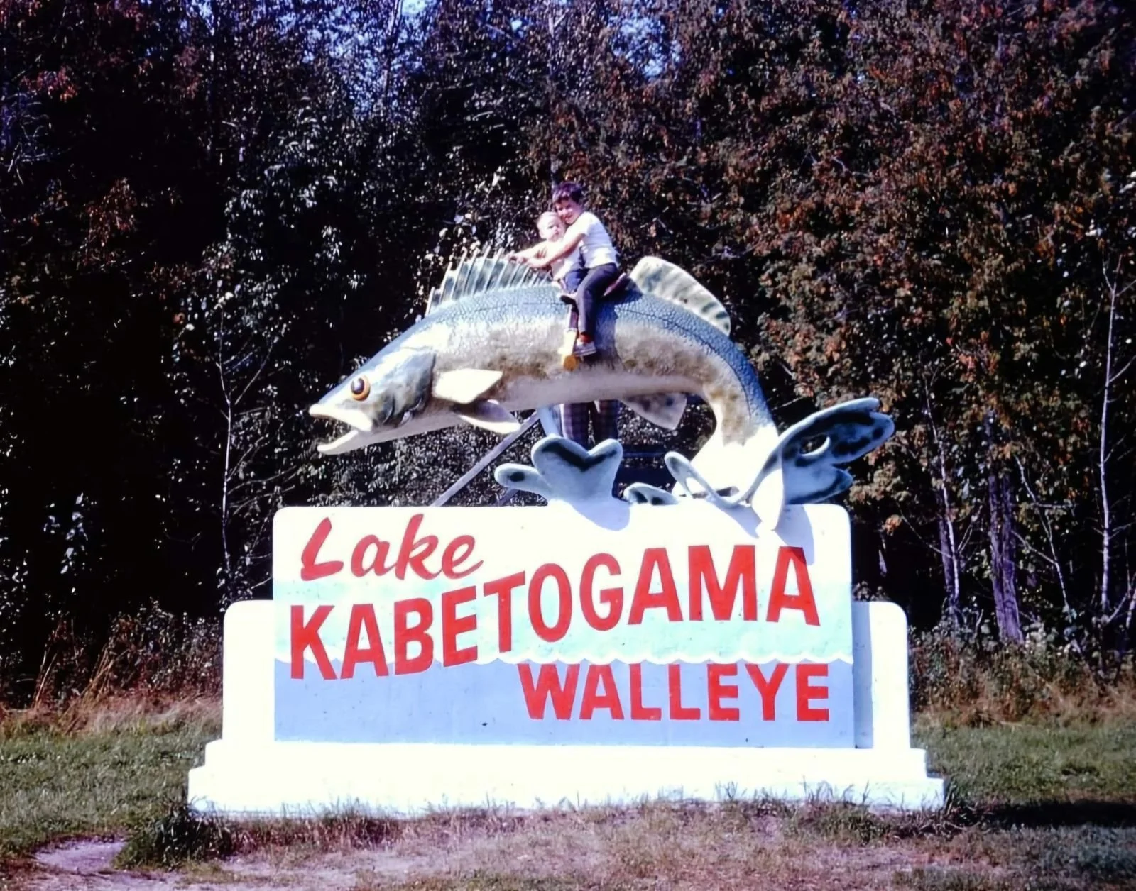 Kabetogama Boat Tours