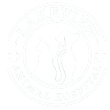 Lakeview Animal Hospital