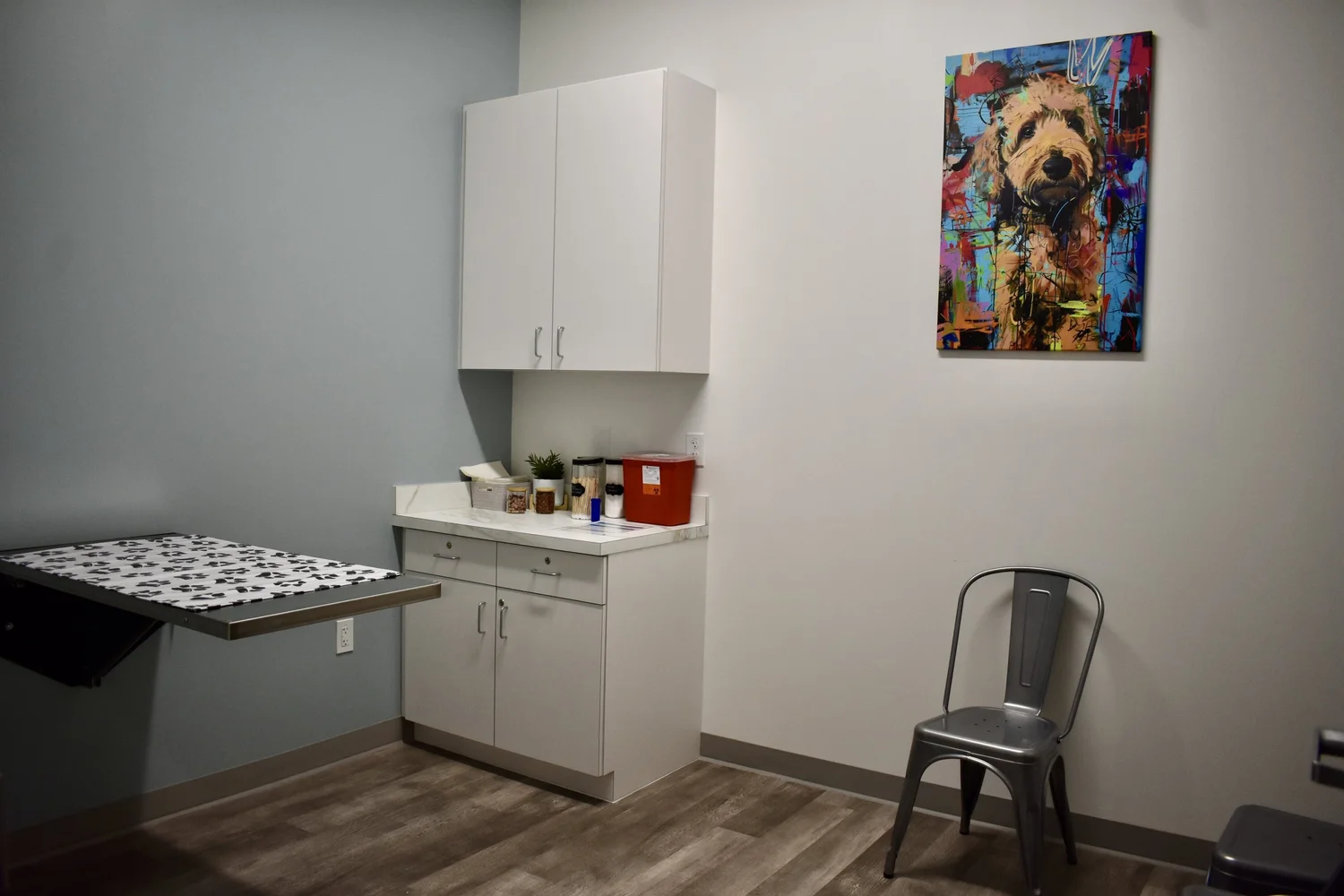 Lakeview Animal Hospital