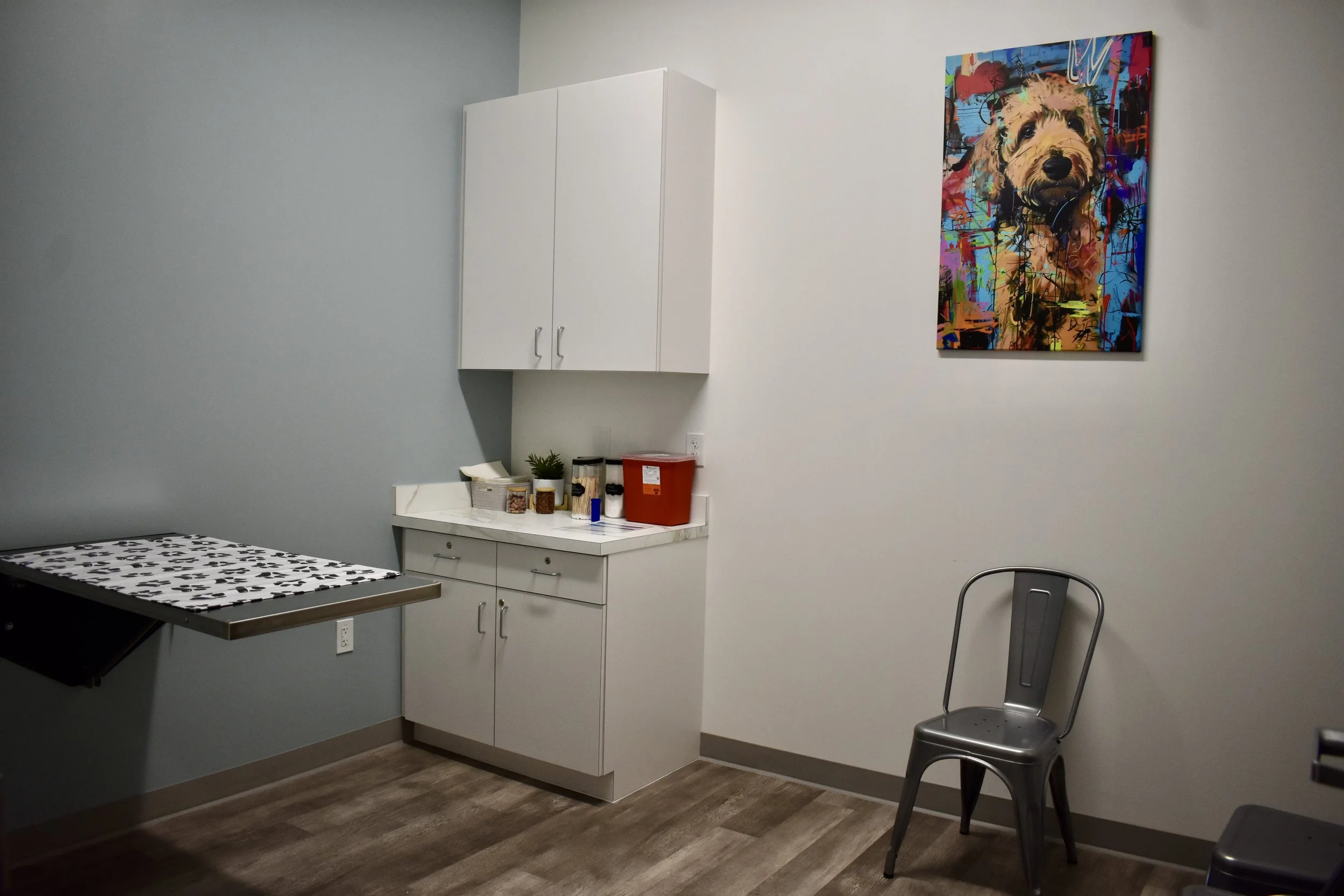 Lakeview Animal Hospital