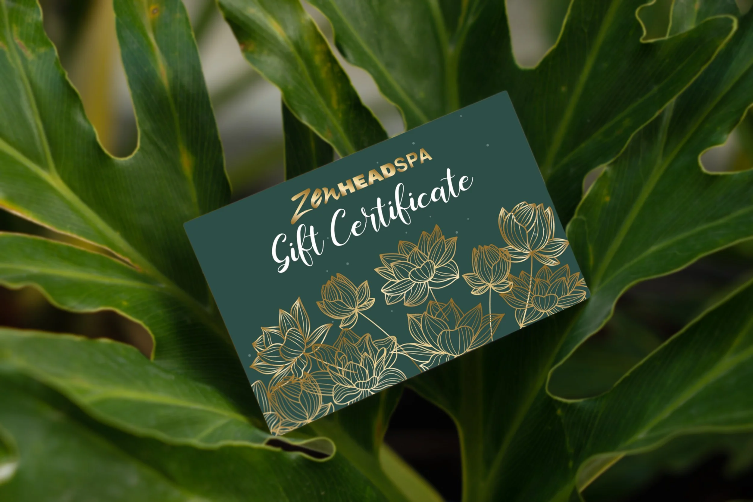 Zen Head Spa | Japanese Head Spa in Orange County, CA