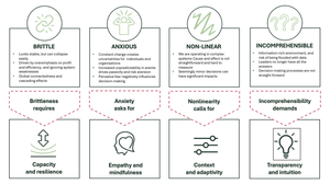 Leading in a BANI World — Whakawhitinga